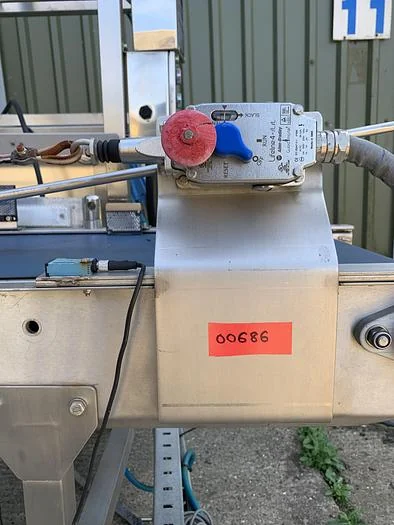 Machinery Masters | Used Sorting Line Conveyor with Crate Racking for Sale